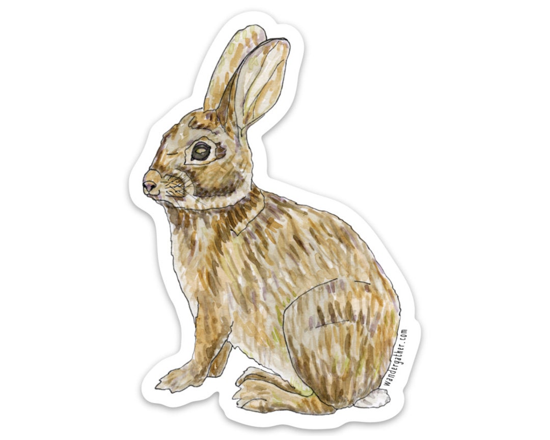 Eastern Cottontail Rabbit Bunny Vinyl Sticker: Woodland Animal Cute ...