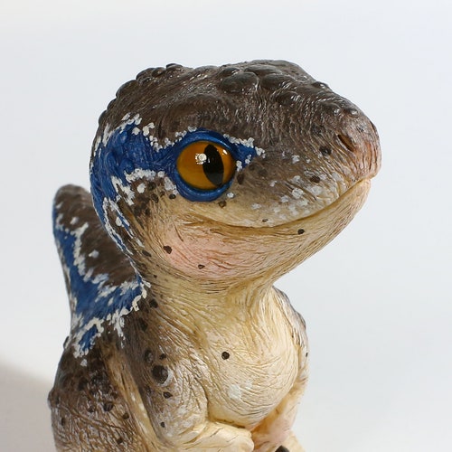 Blue Baby Raptor Resin Sculpture 295 75cm - Etsy