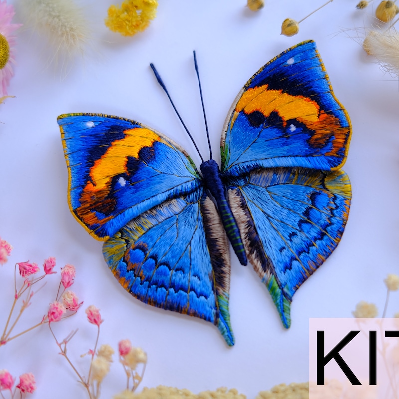 Butterfly Stumpwork Kit - Etsy