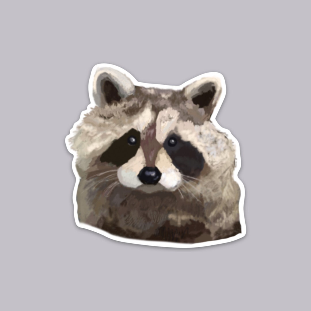 Weatherproof Vinyl Raccoon Sticker - Etsy