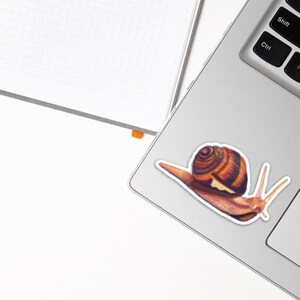 Snail Sticker- Weatherproof Vinyl - Etsy