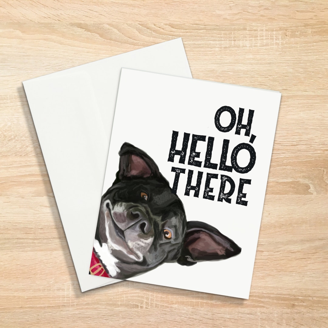 Oh Hello There - Apollo's Card - Blank Inside - Etsy