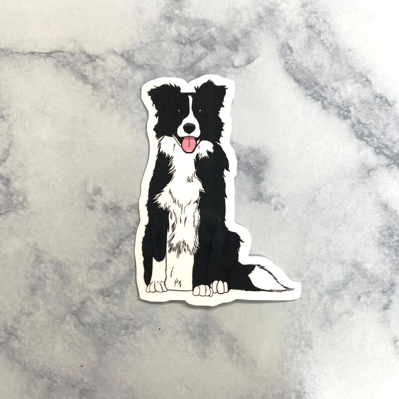 Border Collie Sticker - Etsy