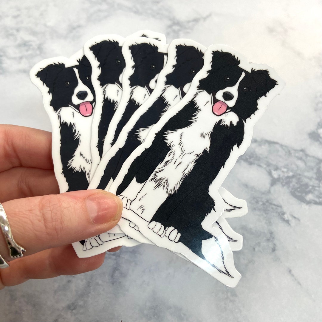 Border Collie Sticker - Etsy