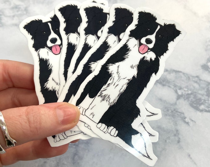 Border Collie Sticker - Etsy