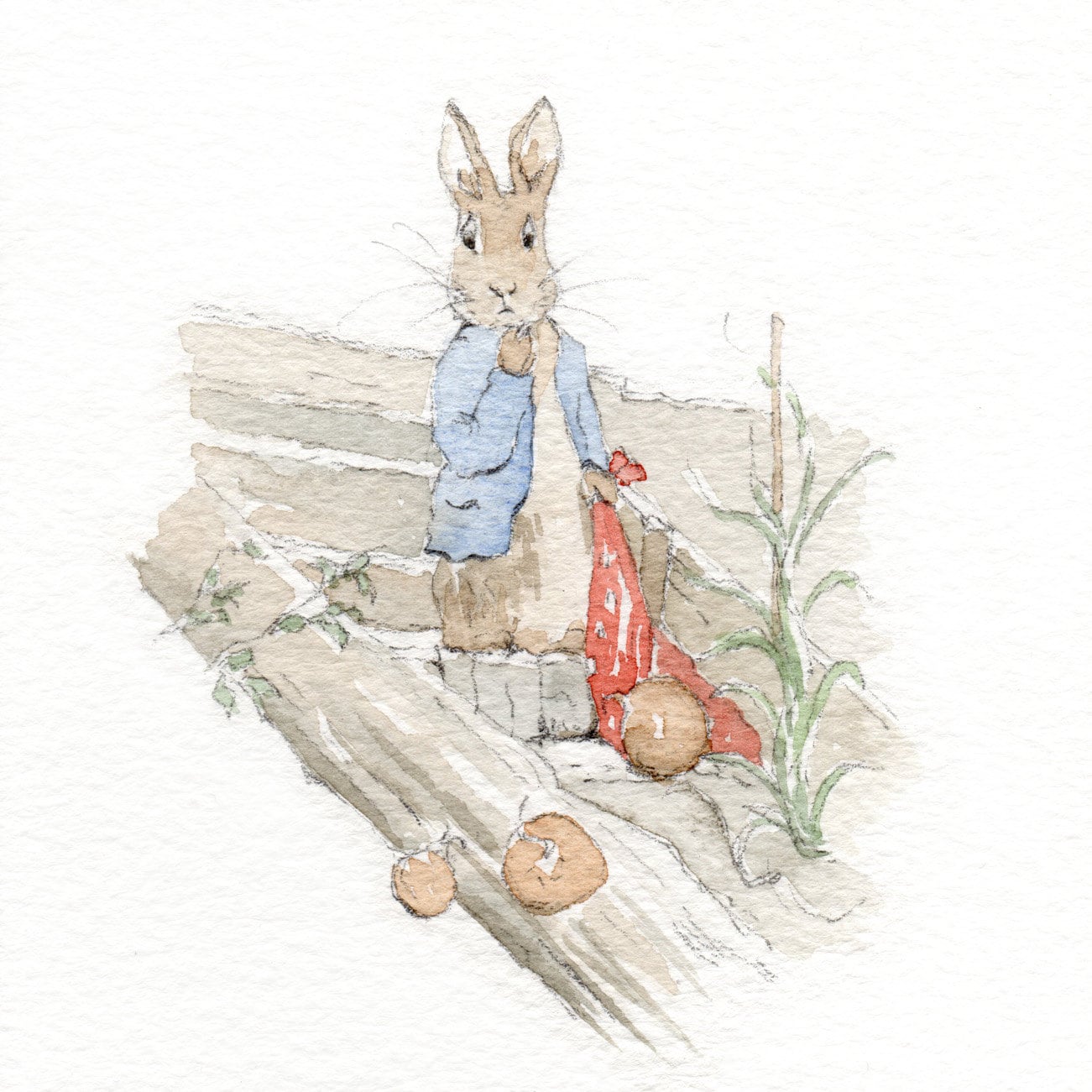 Hand Painted Original Beatrix Potter's Peter Rabbit (watercolor) - Etsy