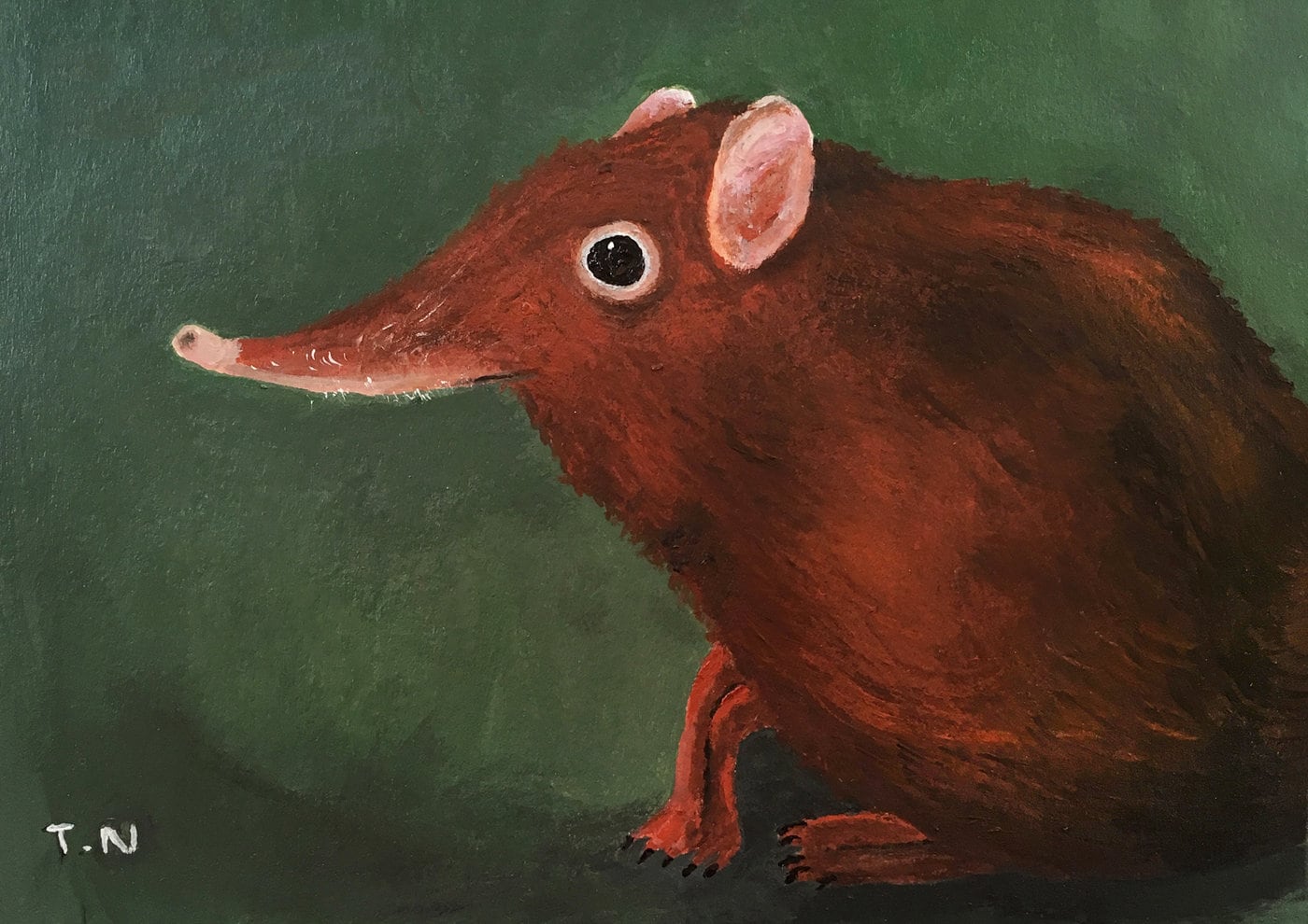 Elephant Shrew Print, 5x7" Whimsical Shrew Painting, Quirky Framed ...