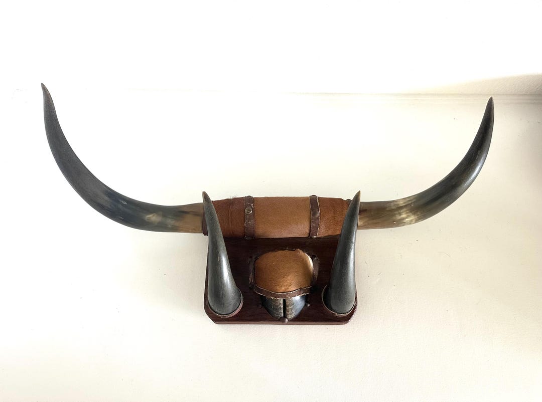 Vintage Longhorn and Hoof Wall Mount - Etsy