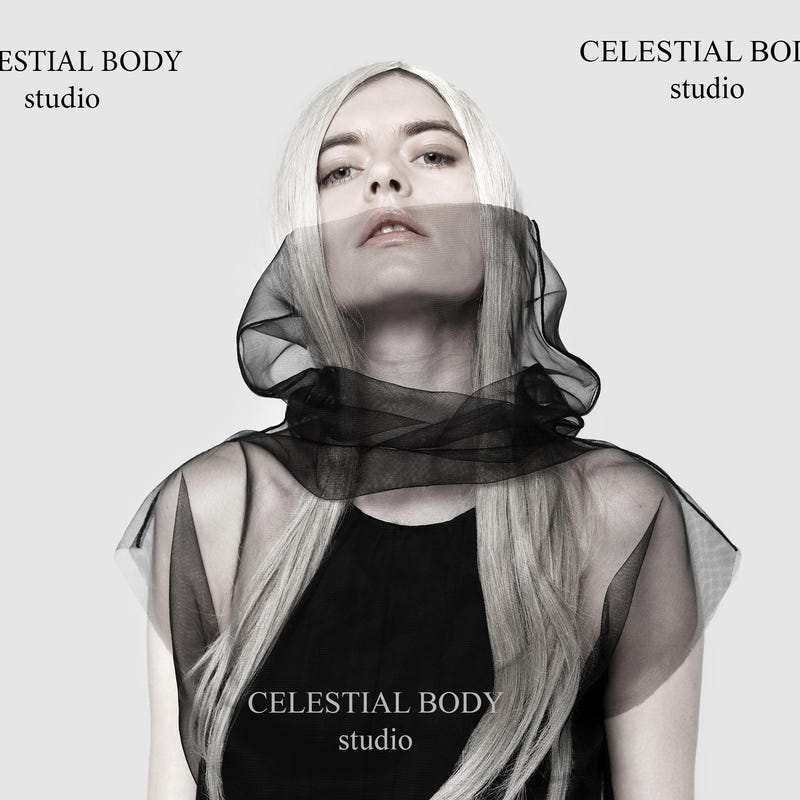 Sheer High Neck Lace Top - Etsy