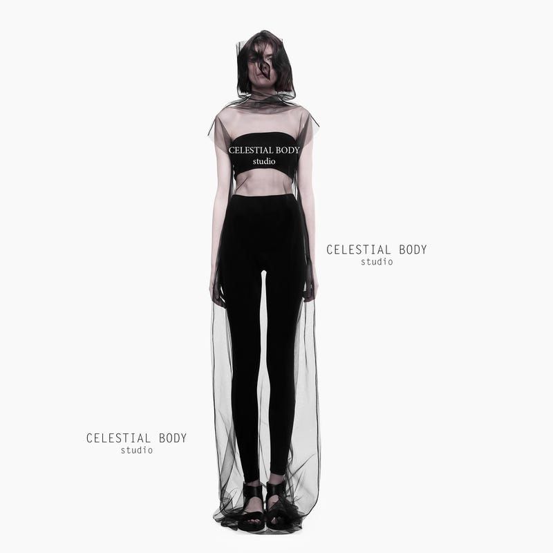 Transparent Dress - Etsy