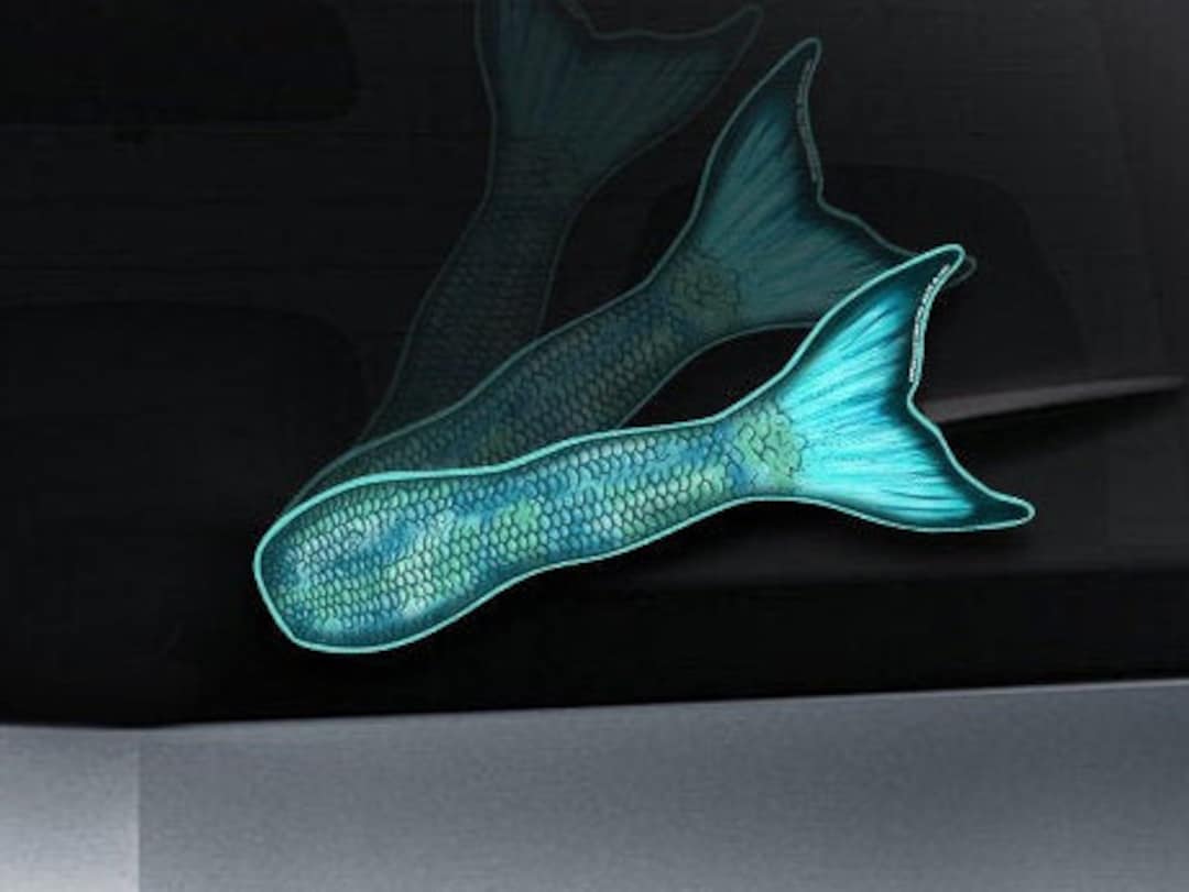 Mermaid Tail Wipertags Attach to Rear Wiper Blades. for Suvs and Vans ...