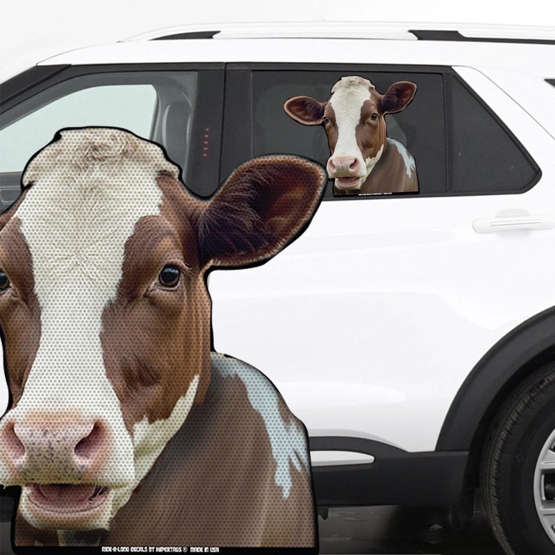 RIDE A LONG Moo Cow Perforated Laminated Car Semi Transparent Decal for ...
