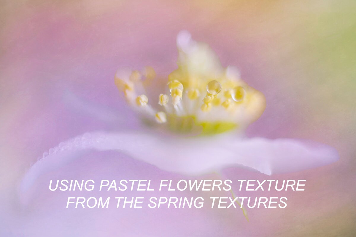 Spring Texture Pack Digital Overlay or Backdrop Texture - Etsy