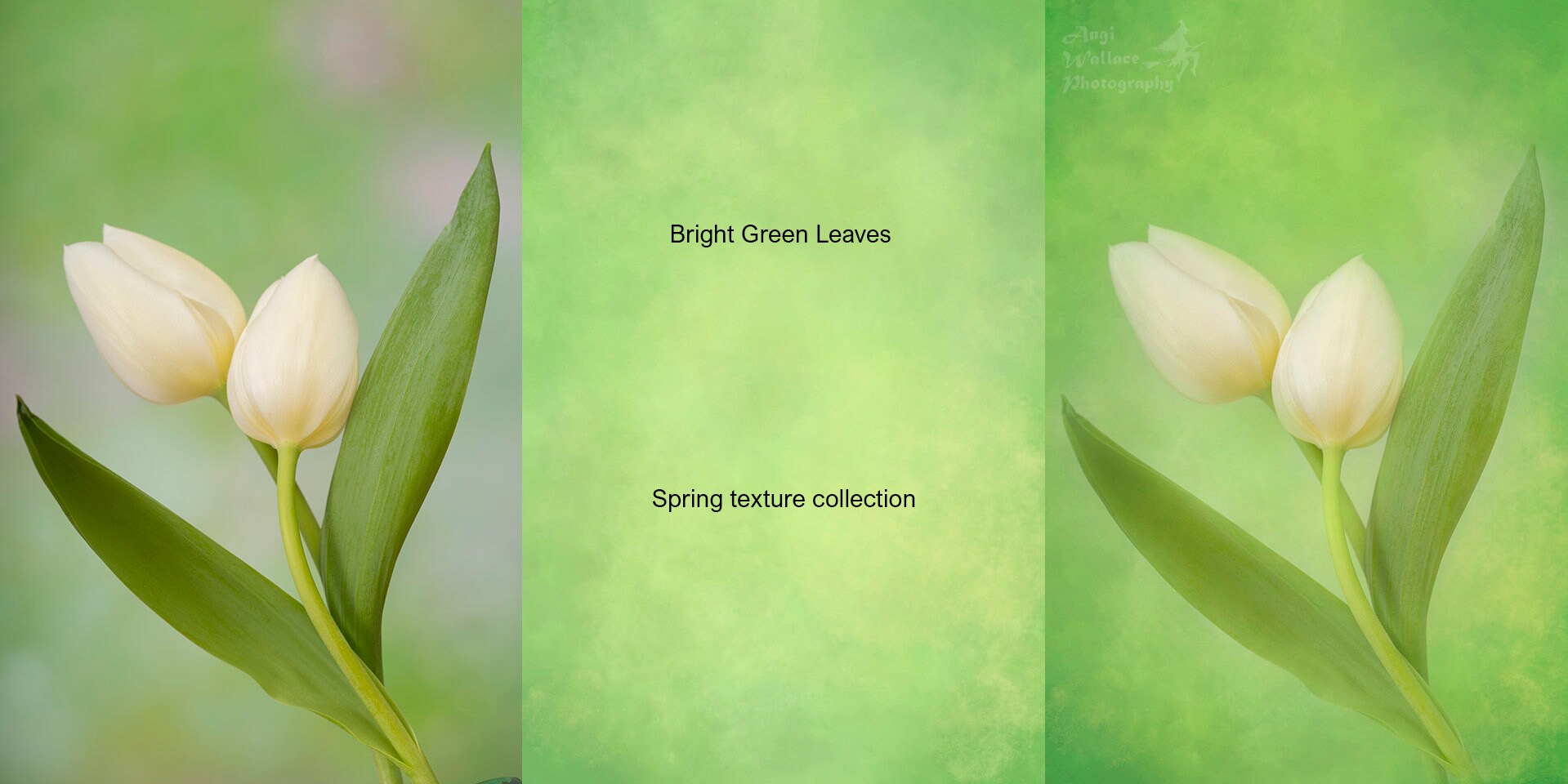 All 4 Seasonal Texture Packs - Spring, Summer, Autumn, Winter and Grey ...