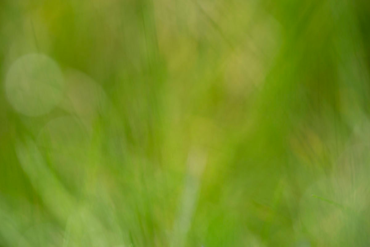 Painterly Collection Texture Pack Digital Overlay or Backdrop 9 ...