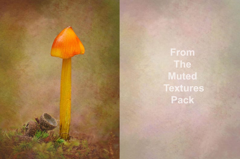 Muted Tones Texture Pack Digital Overlay or Backdrop or Collage Paper ...