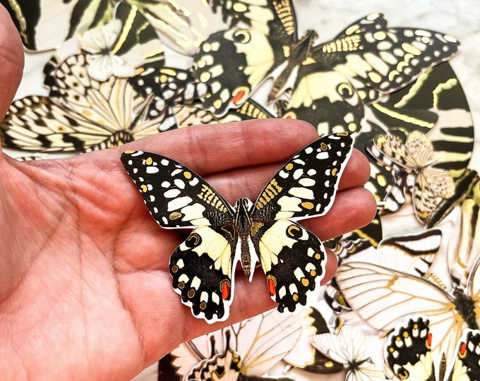 Multi Coloured Butterfly Die Cut Embellishment Monarch Paper Crafts ...