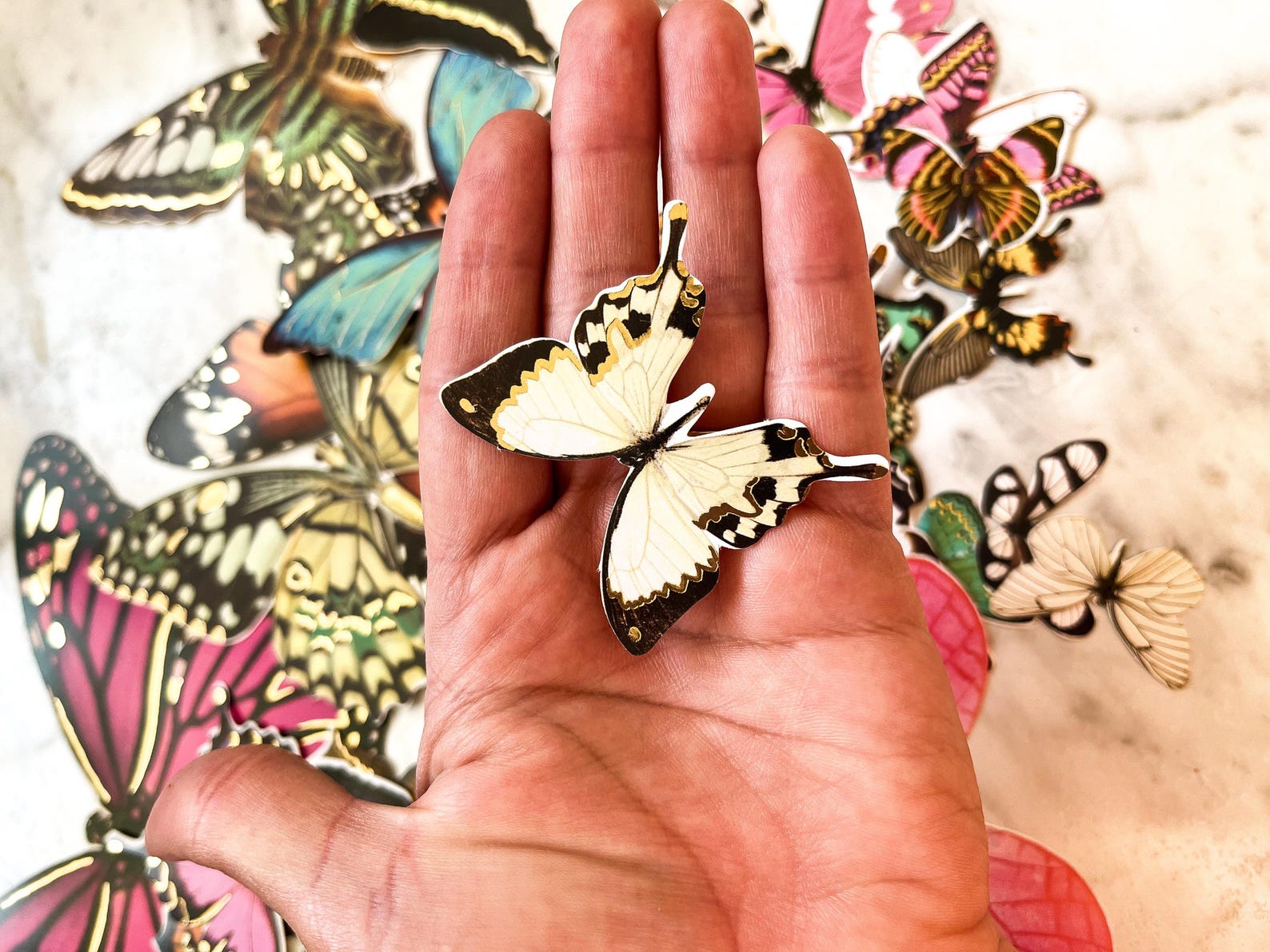 Multi Coloured Butterfly Die Cut Embellishment Monarch Paper Crafts ...