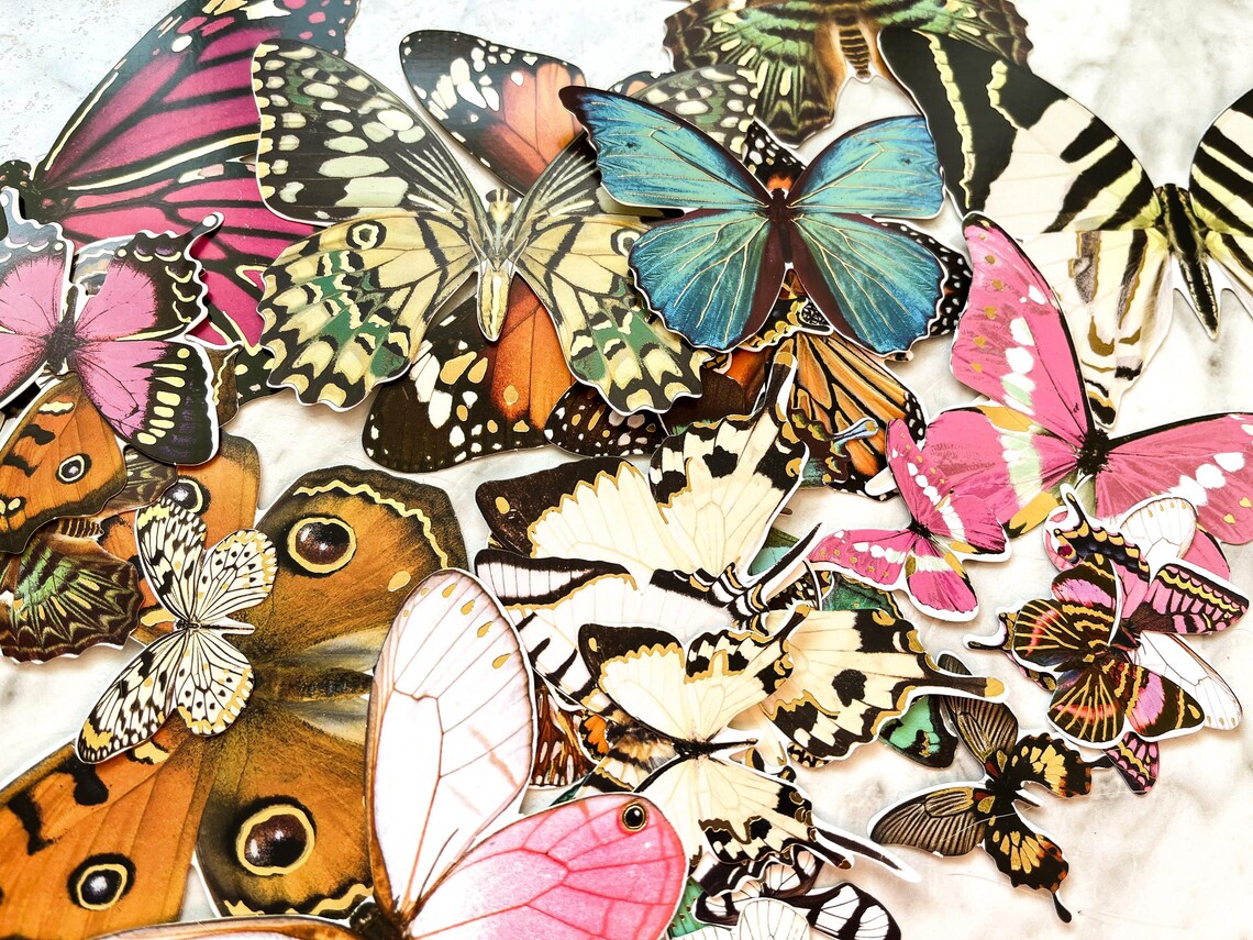 Multi Coloured Butterfly Die Cut Embellishment Monarch Paper Crafts ...