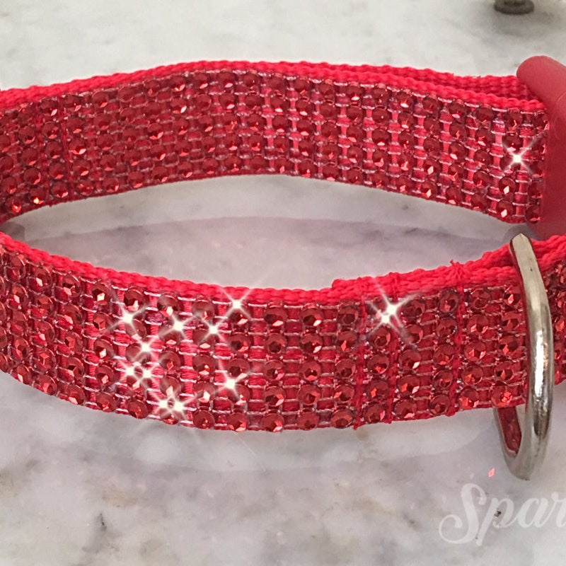 Bling Dog Collar - Etsy