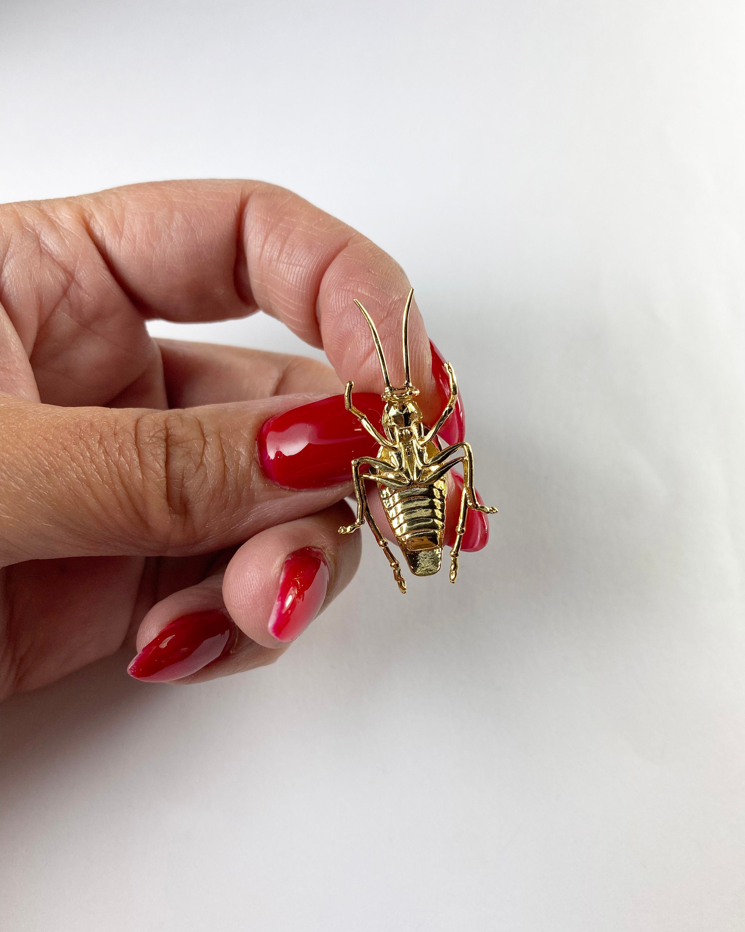 PESTS & Parasites Cockroach Brooch dead or Alive Gold - Etsy