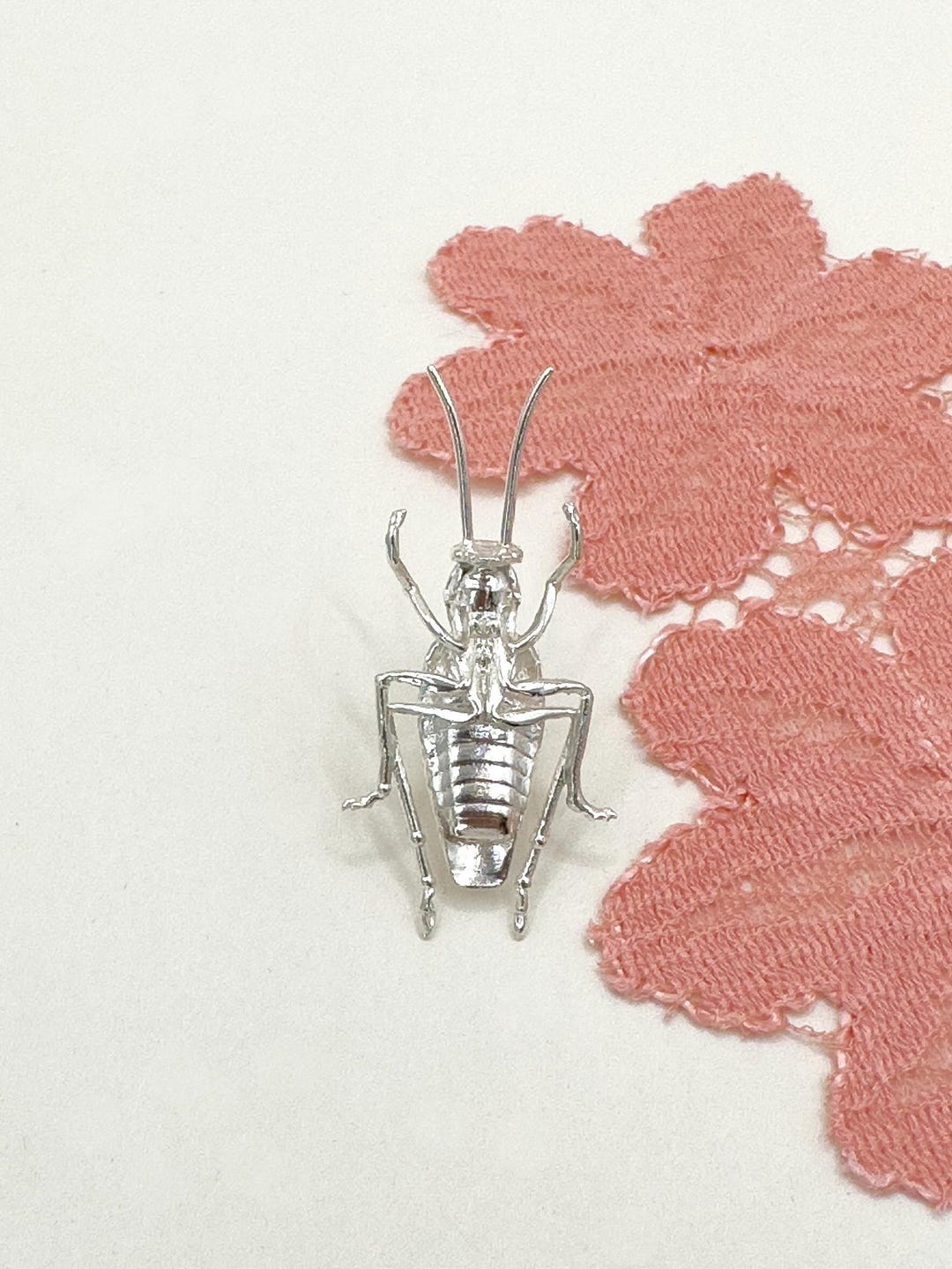 PESTS & Parasites - Cockroach Brooch -dead - Sterling Silver - Etsy