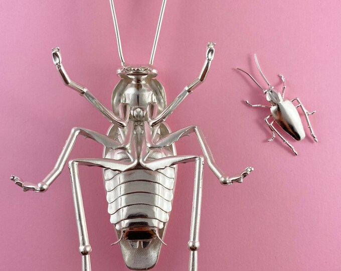 Big Cockroach Bug Pinata - Etsy