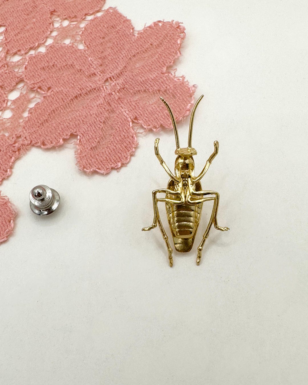 PESTS & Parasites - Cockroach Brooch -dead - Sterling Silver - Gold ...