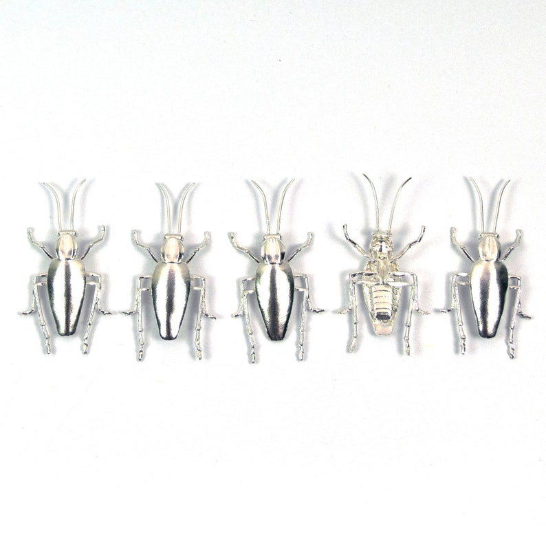 PESTS & Parasites Cockroach Brooch dead or Alive Sterling Silver - Etsy