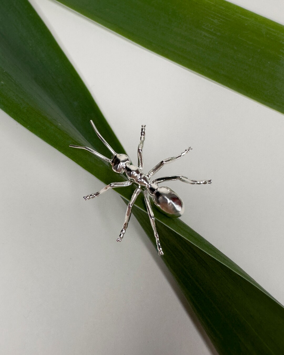 PESTS & Parasites Ant Brooch Sterling Silver - Etsy