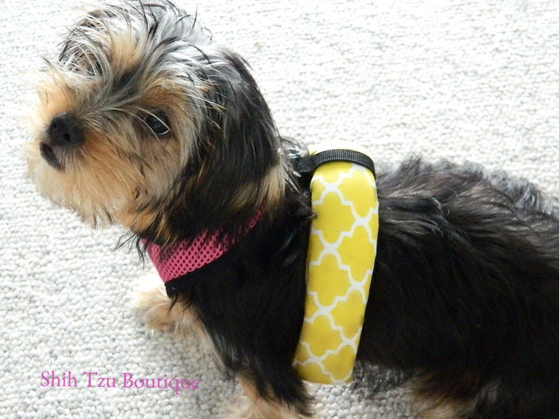 FOAM FENCE BUMPER Harness Extension for Small Dogs and Puppies - Etsy