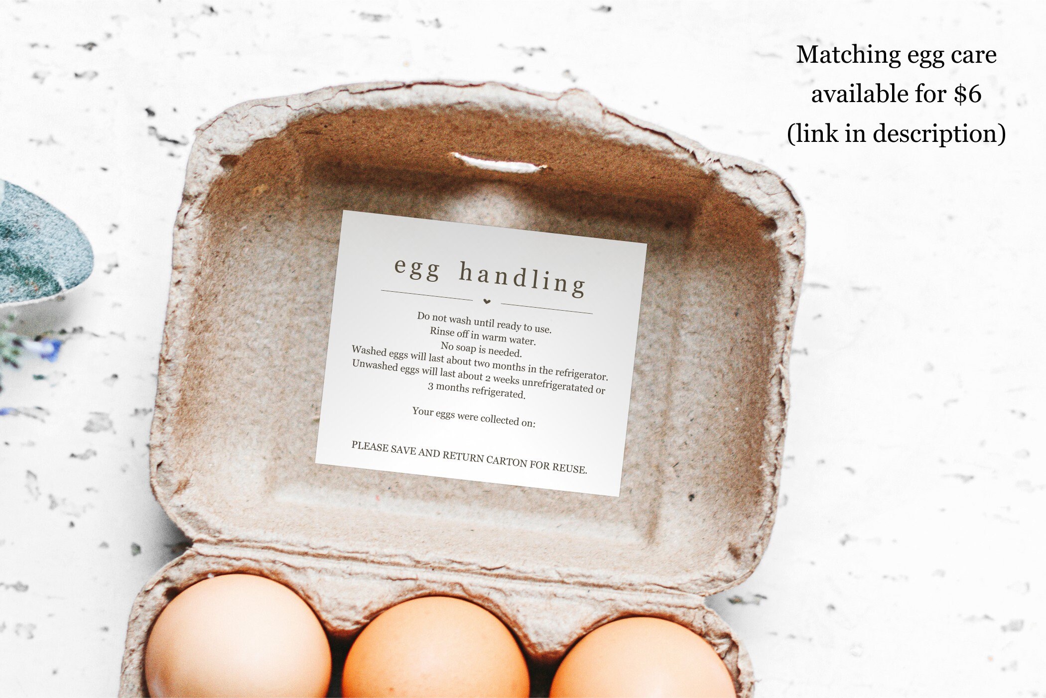 Egg Carton Label Template Printable Sticker Personalize For Farm Or Coop Custom Gift
