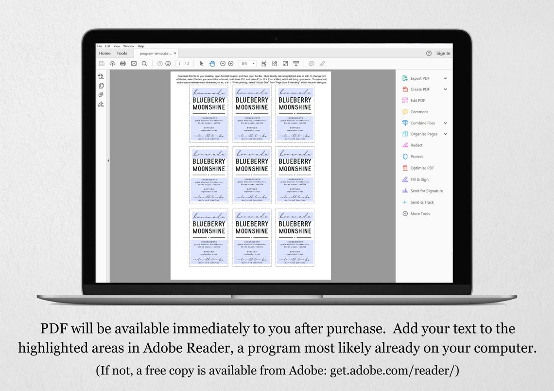 Homemade Blueberry Moonshine Label Template Printable Jar - Etsy