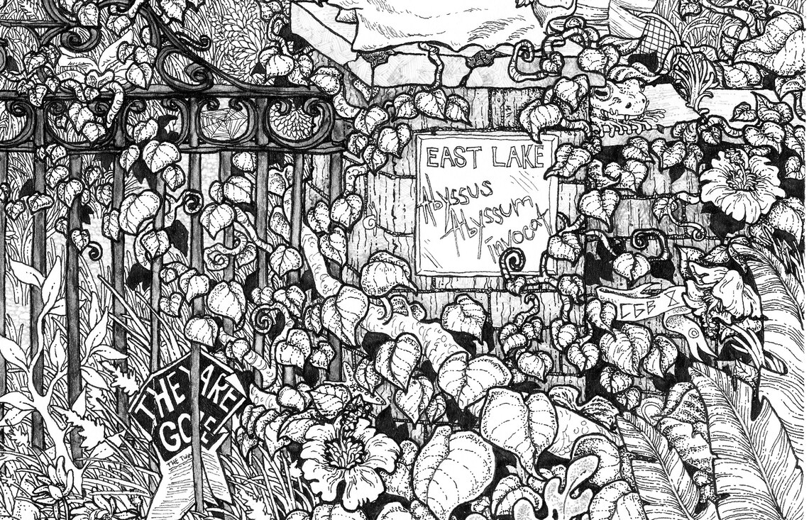 Duma Key Pen and Ink Signed Illustration PRINT Various Sizes - Etsy