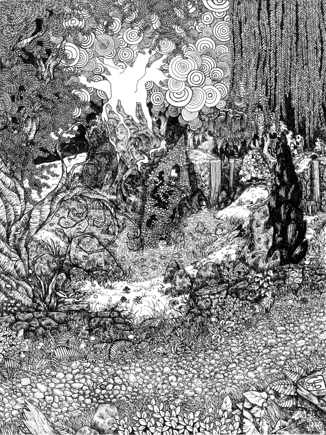 Forest Illustration Ink