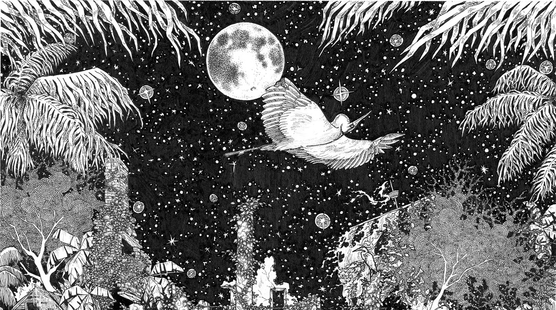 Duma Key Pen and Ink Signed Illustration PRINT Various Sizes - Etsy Canada