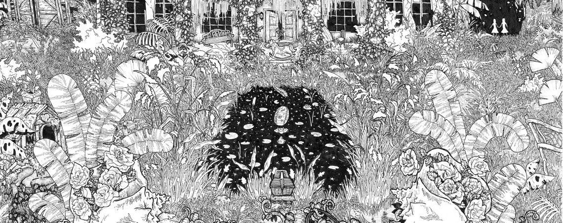 Duma Key Pen and Ink Signed Illustration PRINT Various Sizes Available ...