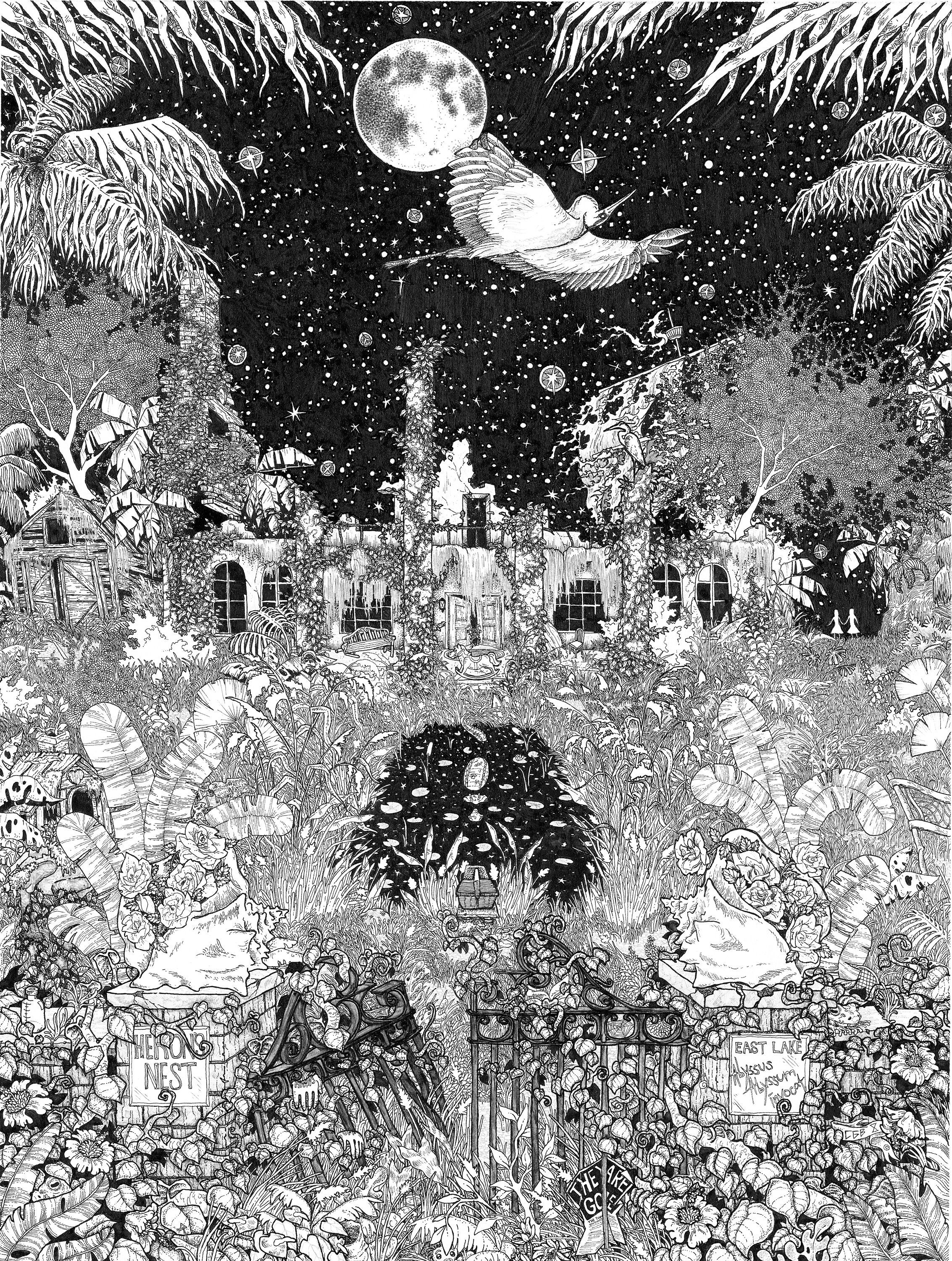 Duma Key Pen and Ink Signed Illustration PRINT Various Sizes - Etsy