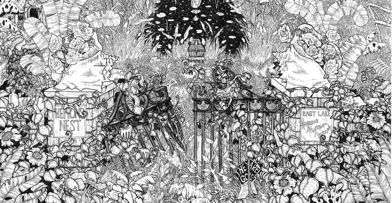 Duma Key Pen and Ink Signed Illustration PRINT Various Sizes - Etsy