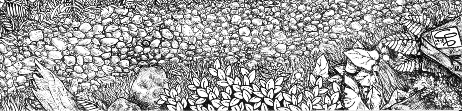 What Was Lost Pen Ink Illustration PRINT, Various Sizes. Abandoned ...