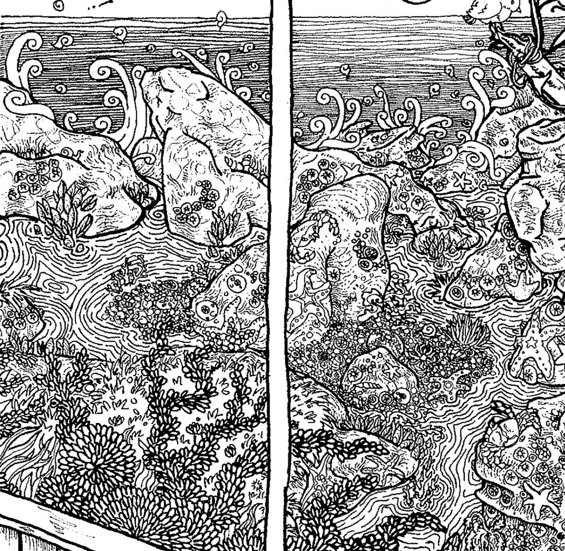 Beach Tide Pool Shipwreck Pen Ink Illustration PRINT, Various Sizes ...