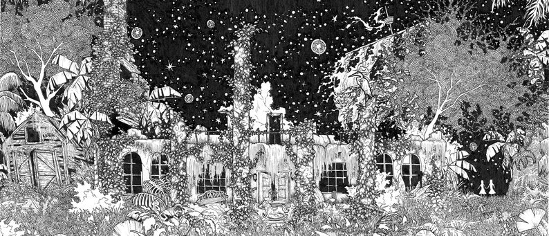 Duma Key Pen and Ink Signed Illustration PRINT Various Sizes - Etsy