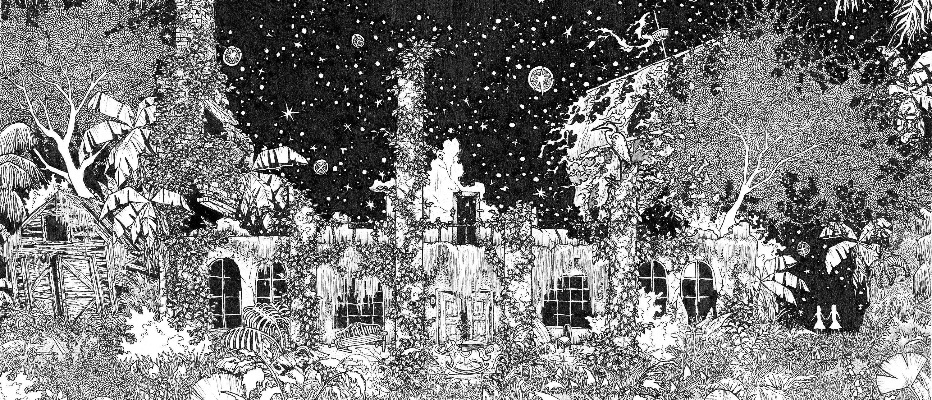 Duma Key Pen and Ink Signed Illustration PRINT Various Sizes Available ...
