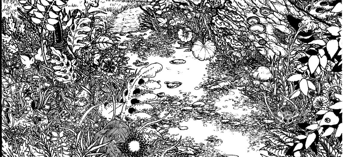 Through Dreams Pen Ink Illustration PRINT. Various Sizes. Fantasy ...