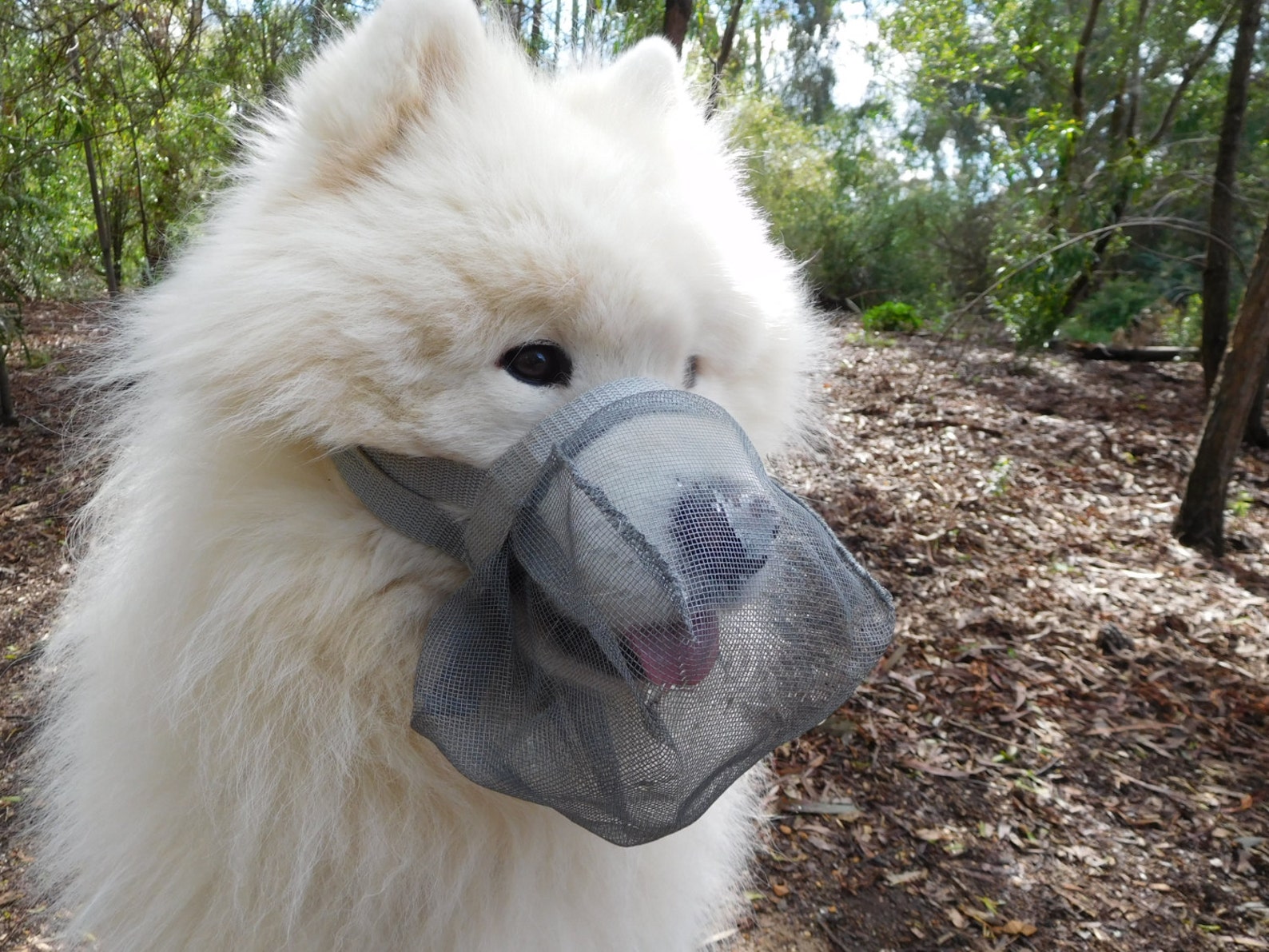 Smuzzle: A Soft Muzzle That Lets Your Dog Smile - Etsy Australia