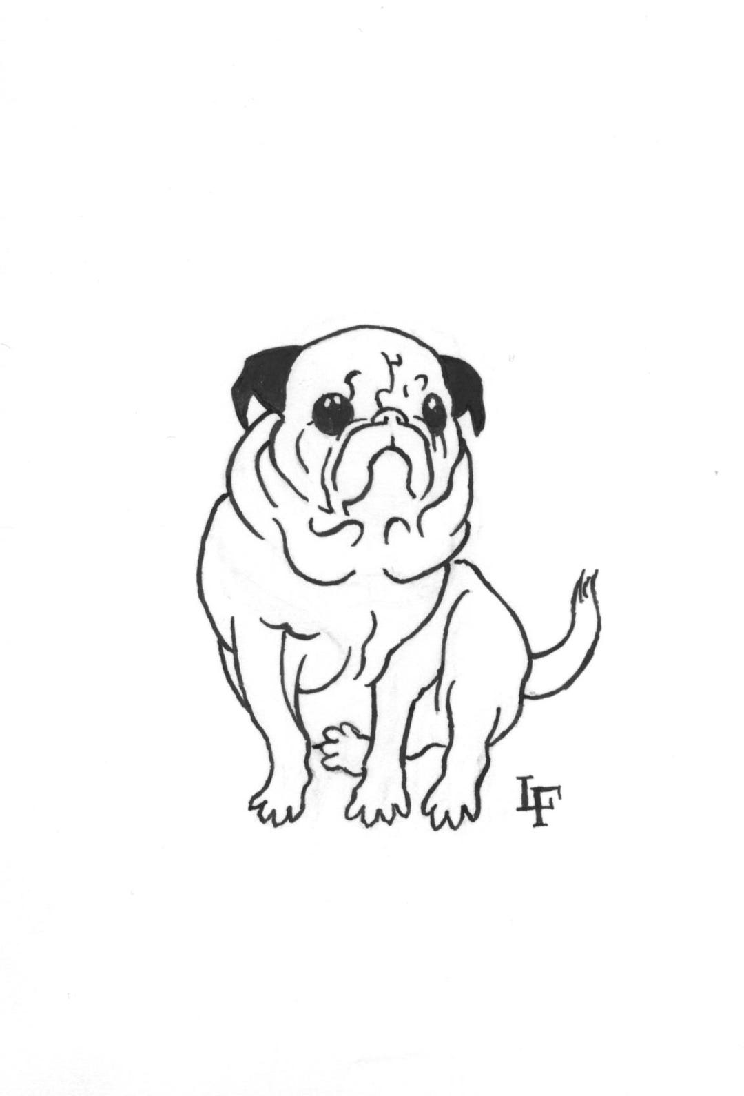 Covent Garden Pug (original Ink Dip Pen Drawing) - Etsy