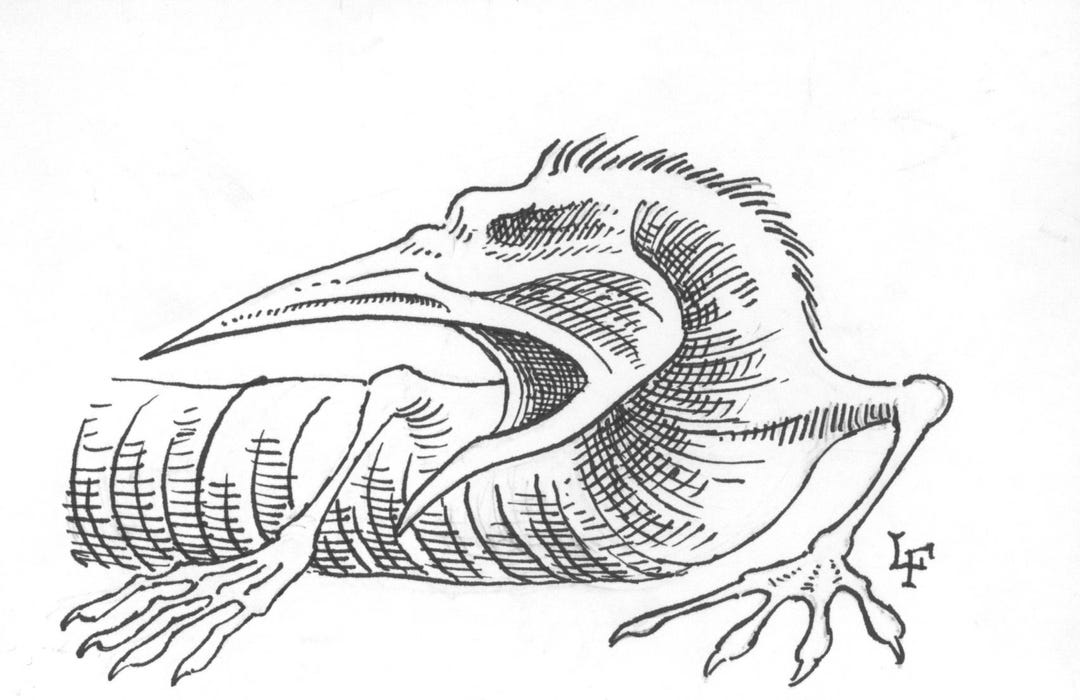 Wyrm (original Ink Dip Pen Drawing) - Etsy