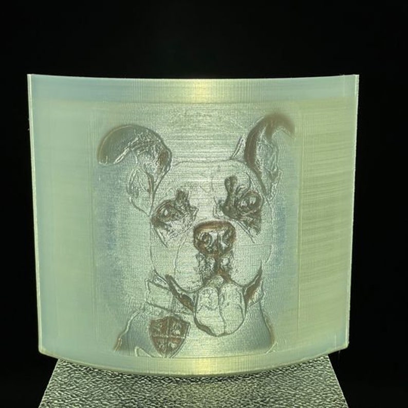 Customized 3D Printed Color Lithophane Night Light - Etsy