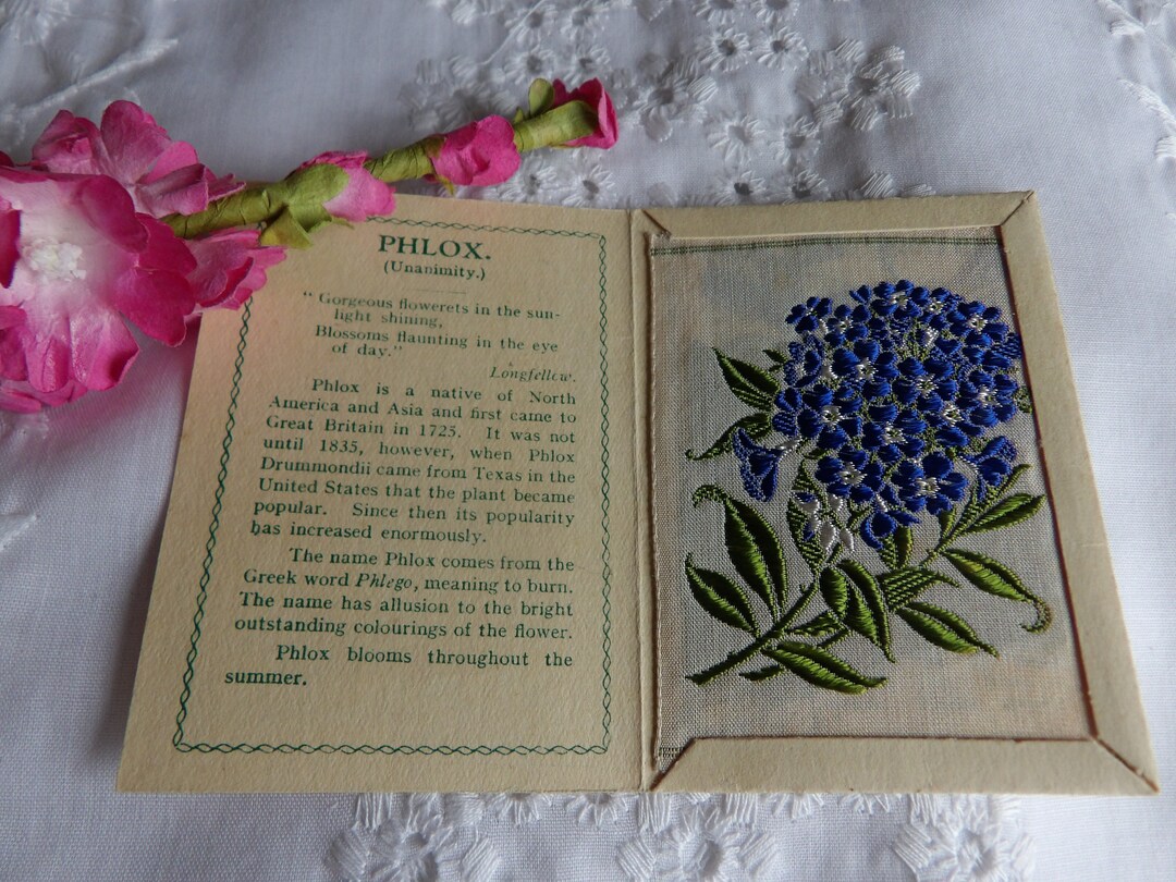 1 Vintage Floral Kensitas Ciggy Silk Phlox - Etsy