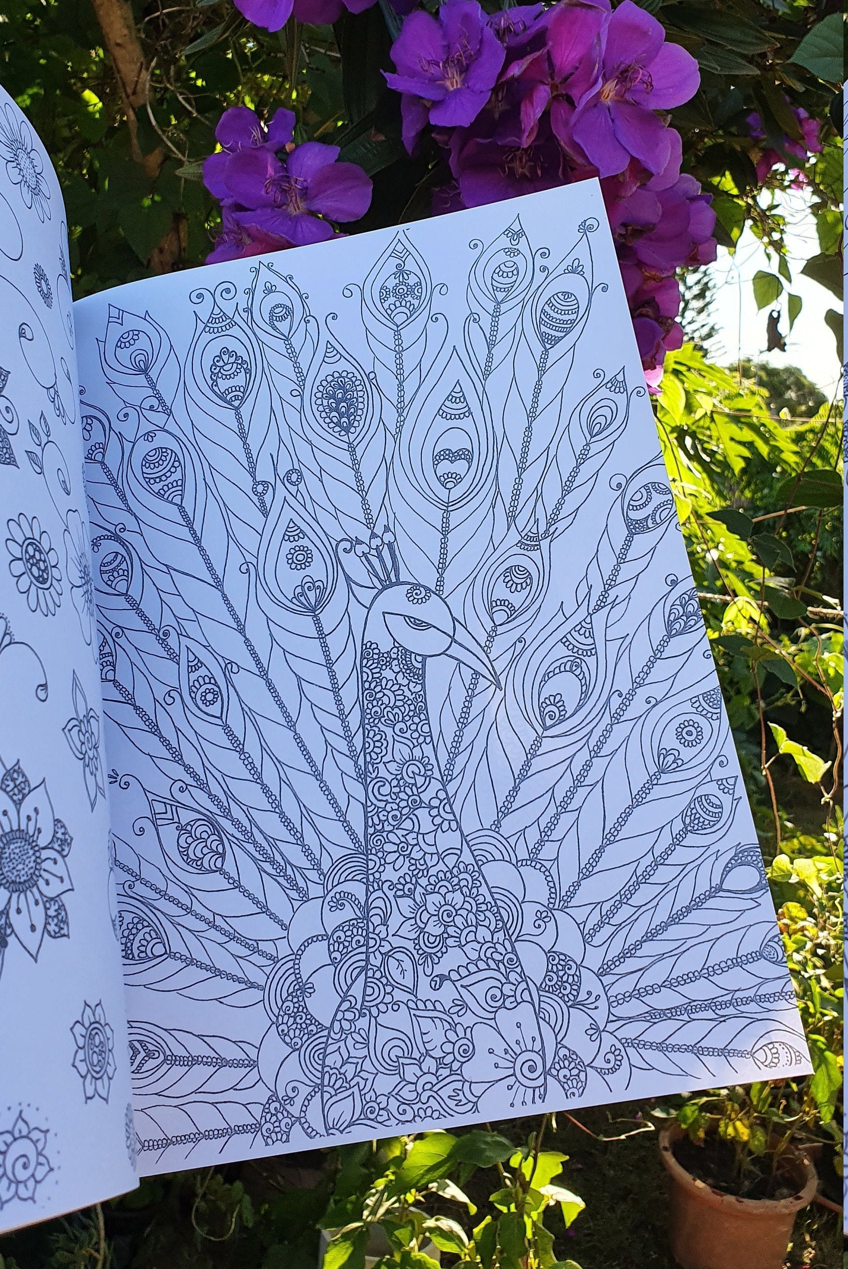 My Book of Everything A Wanderlust Colouring Experience - Etsy Australia